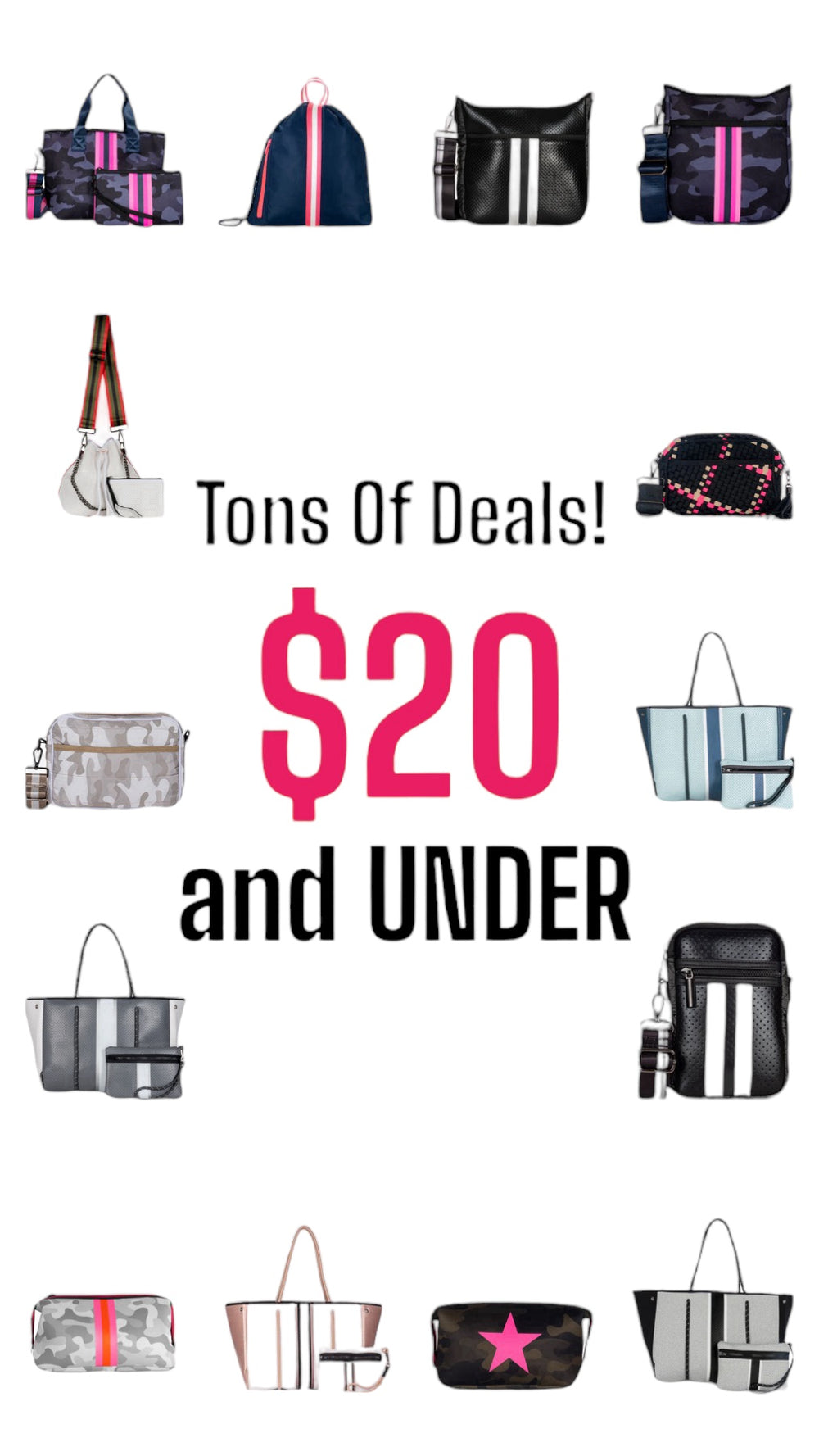 Haute Shore Handbags & Accessories